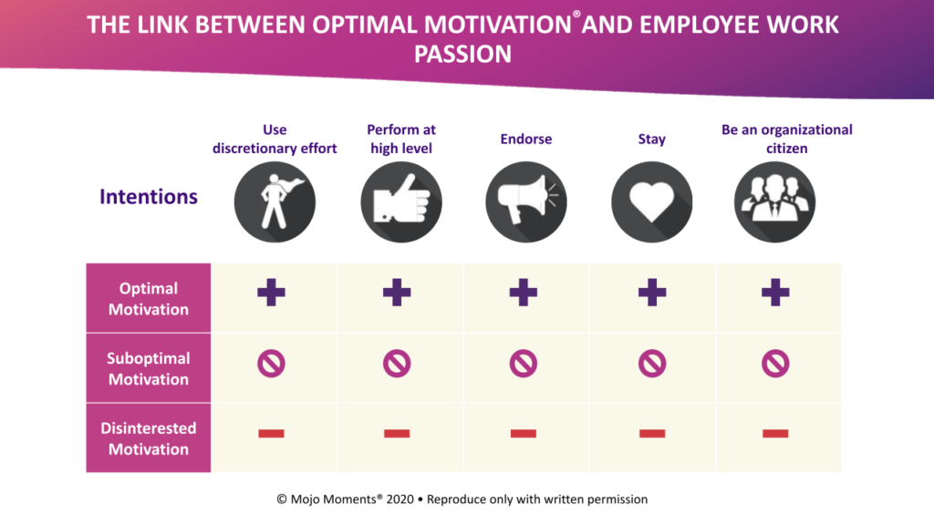 Why mastering motivation makes good business sense | Mojo Moments